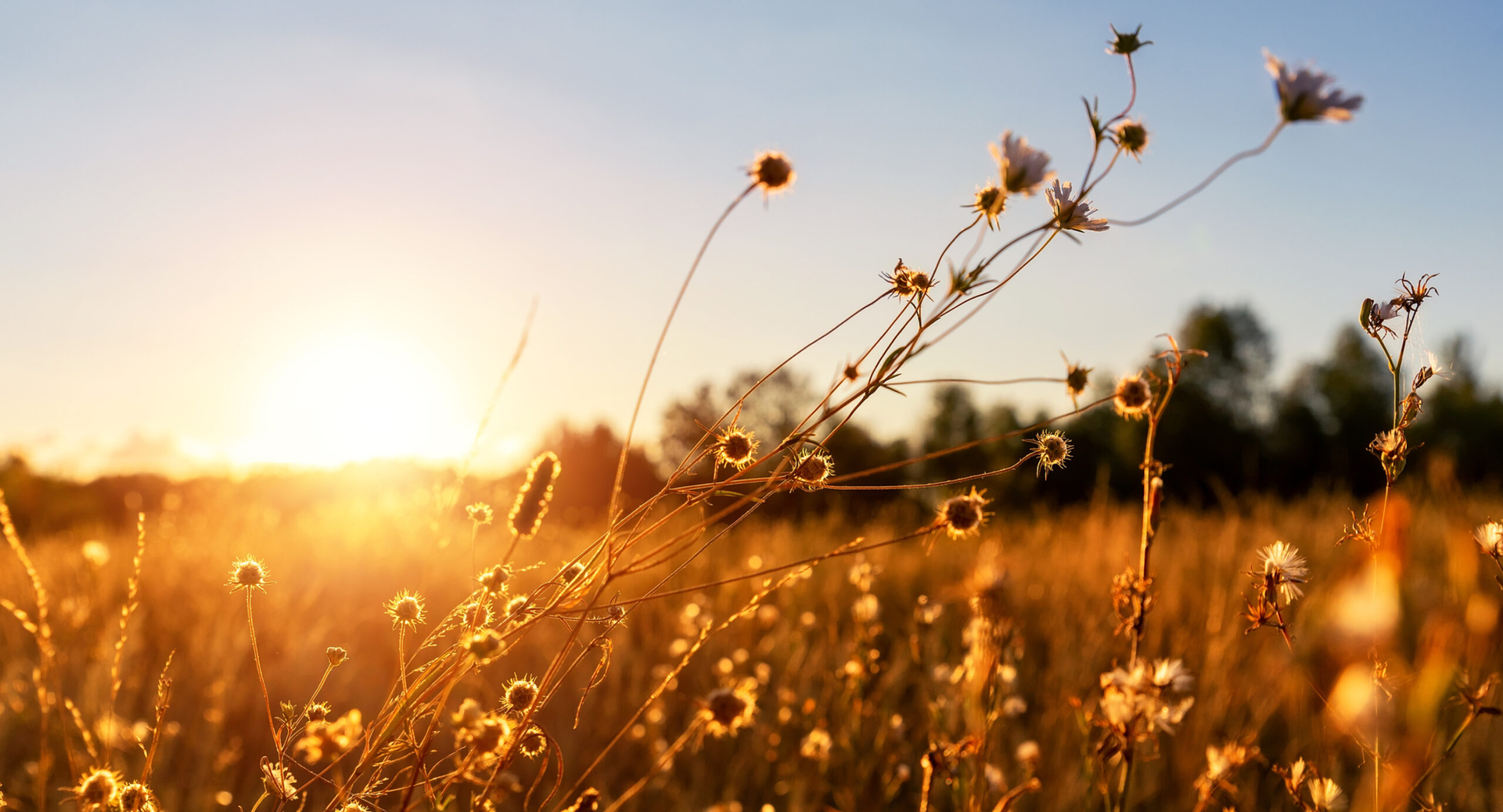 End-of-Life Resources - Sacred Journey End-of-Life Services